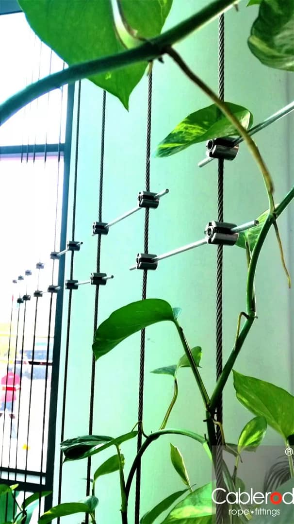 Green Wall Trellis, Sunway University - CableRod